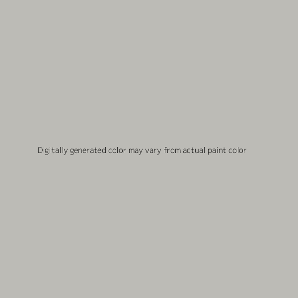 IVORY SILVER - KIA - CODE ISG - BASECOAT – Perpetual Paint Supplies