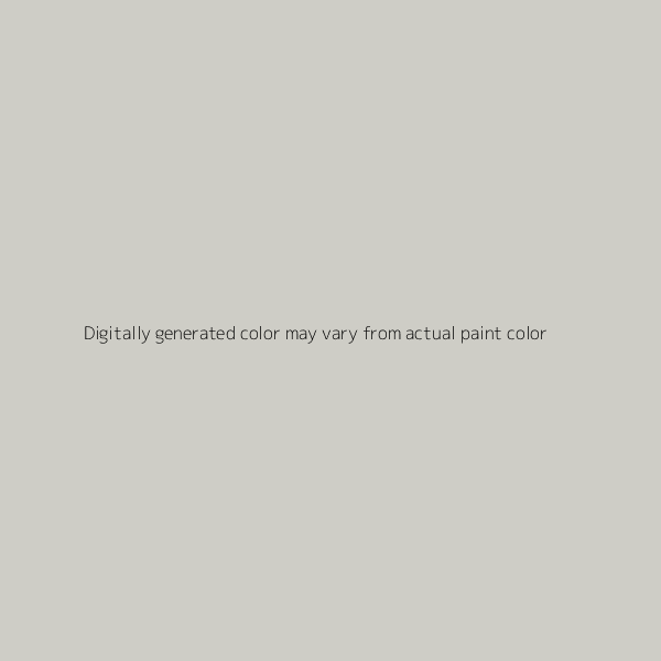 SILVER EFFECT METALLIC - DODGE - CODE PA9 - BASECOAT – Perpetual Paint ...