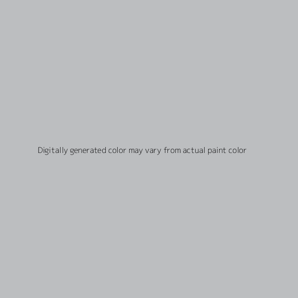 MOONDUST SILVER - FORD - CODE 12 - BASECOAT – Perpetual Paint Supplies